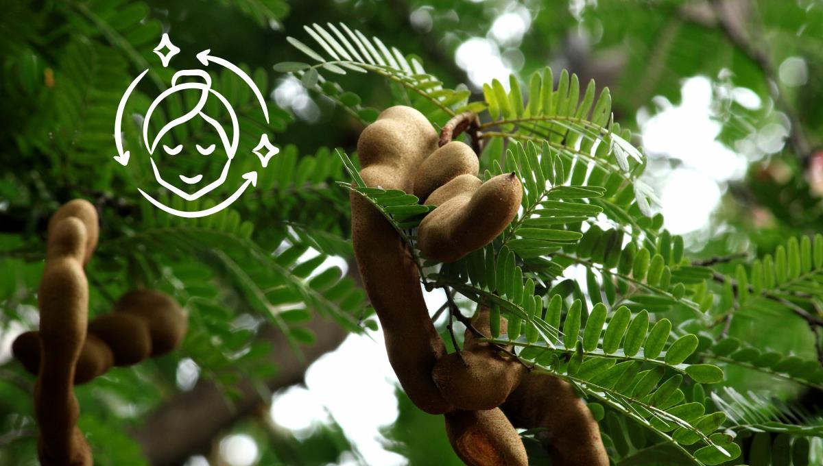 La desconocida fruta que te hará rejuvenecer en cuestión de semanas ...